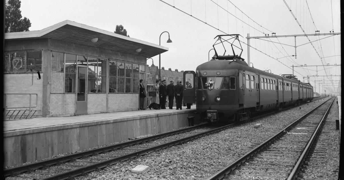 Tjoeke tjoeke tjoek: daar arriveert de donkergroene ‘Muizeneus’ bij een ...