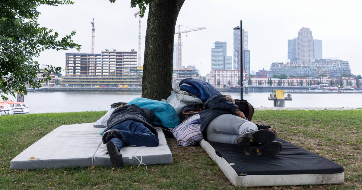 Het harde leven van Oost-Europeanen: ‘We worden minderwaardig behandeld ...