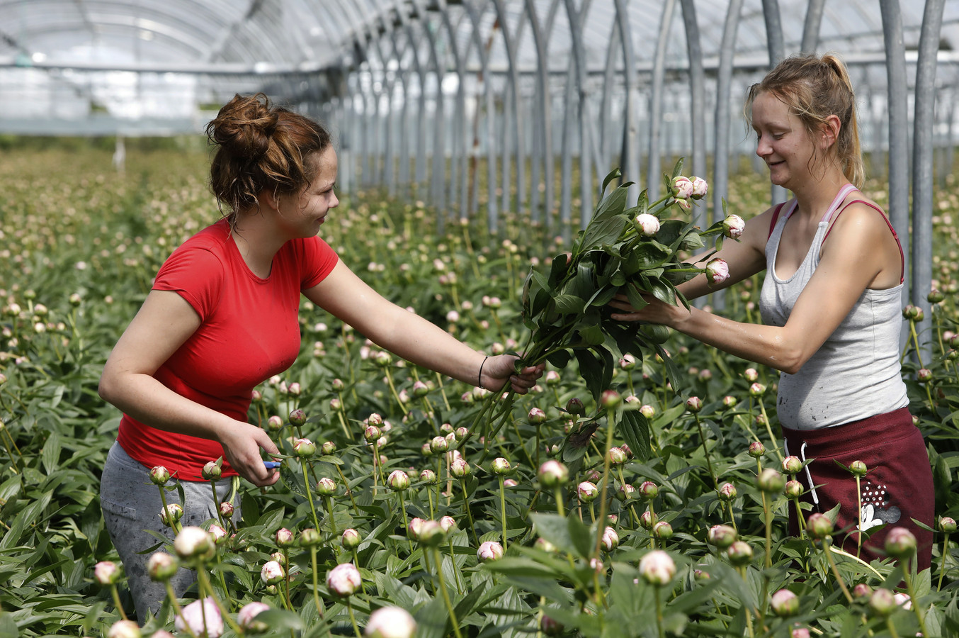 Cuijk komt met drie woonlocaties voor arbeidsmigranten | Foto ...