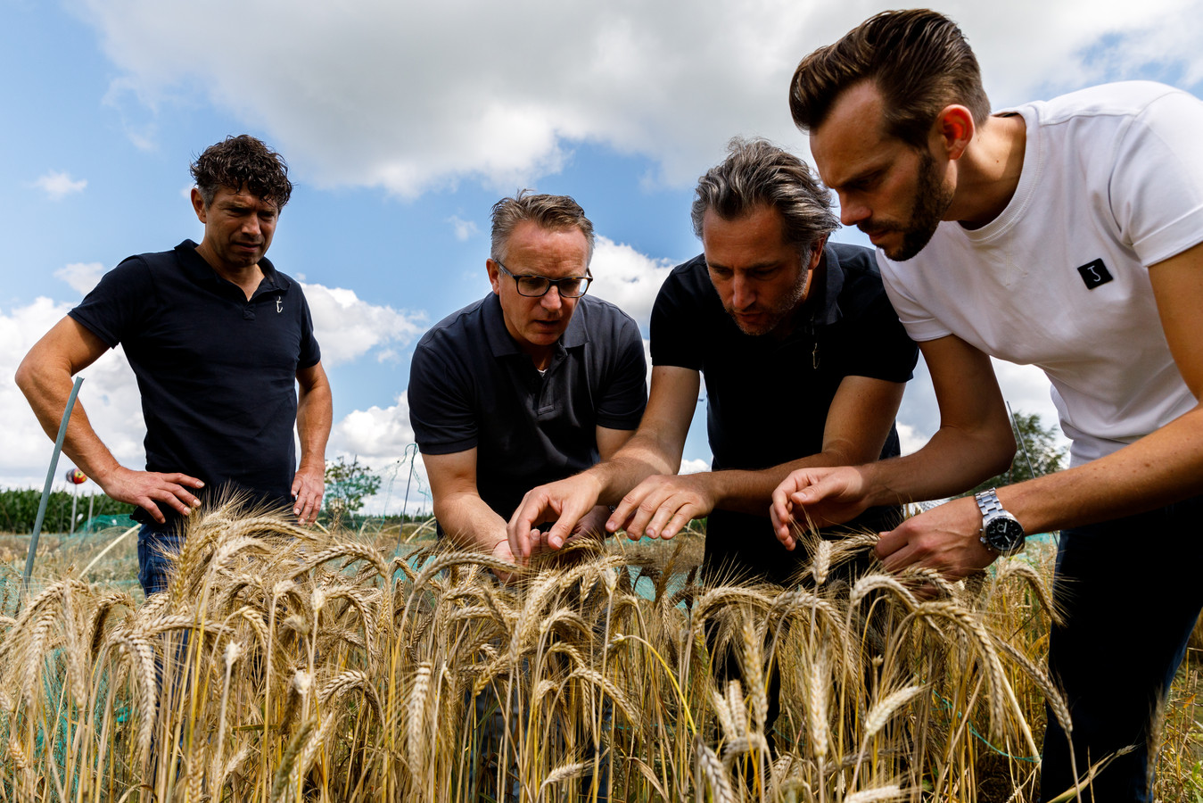 Zo speelt de Hoeksche Waard een grote rol bij de maak van de beroemde ...