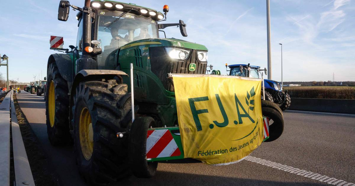 La Fédération des jeunes agriculteurs mène une action “phytos” devant ...