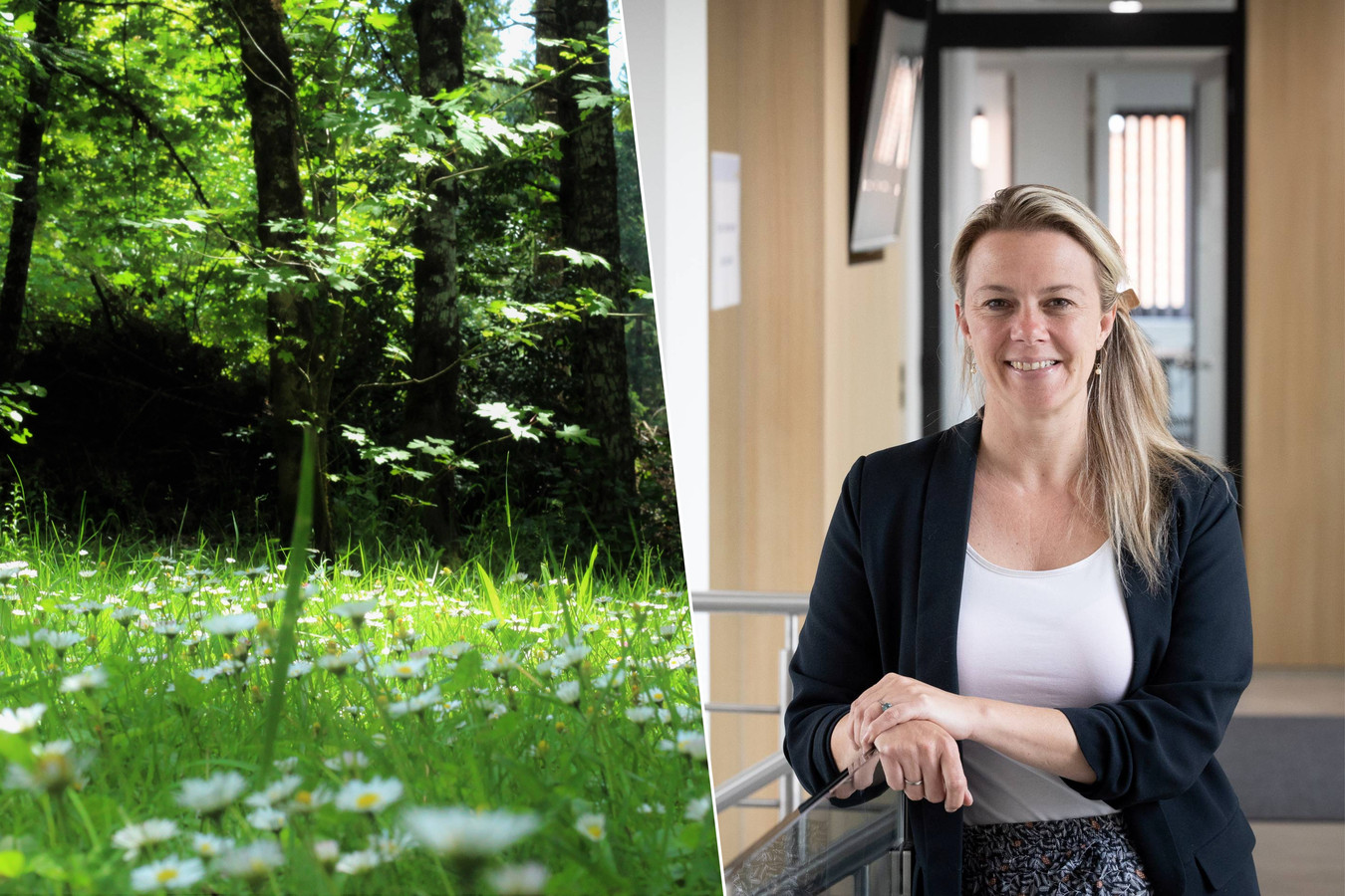 Actiegroepen in beroep tegen Loois ‘Kolmenveld’: “Maar op bouwgrond ...