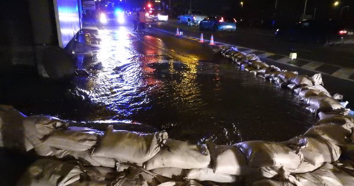 Gentse Wondelgemkaai herschapen tot kolkende rivier | Binnenland | hln.be