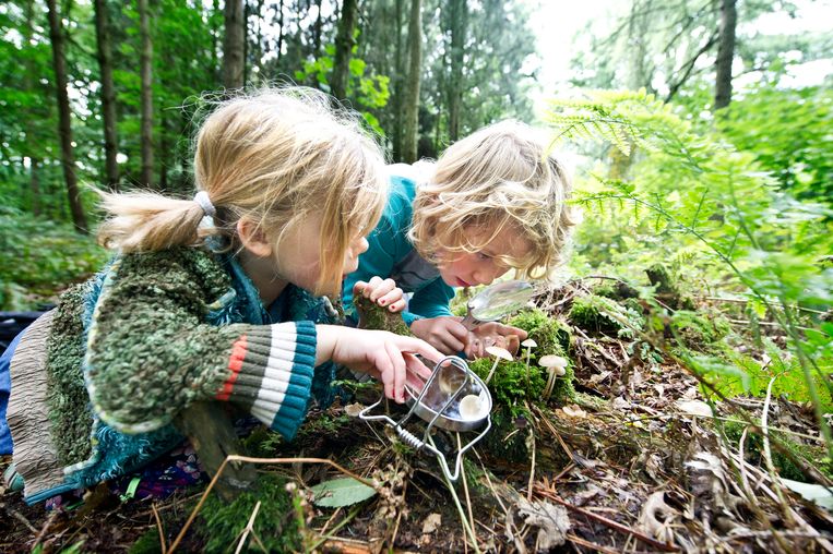 Dit kinderboek wil kinderen het bos in krijgen. ‘Buiten spelen is niet ...