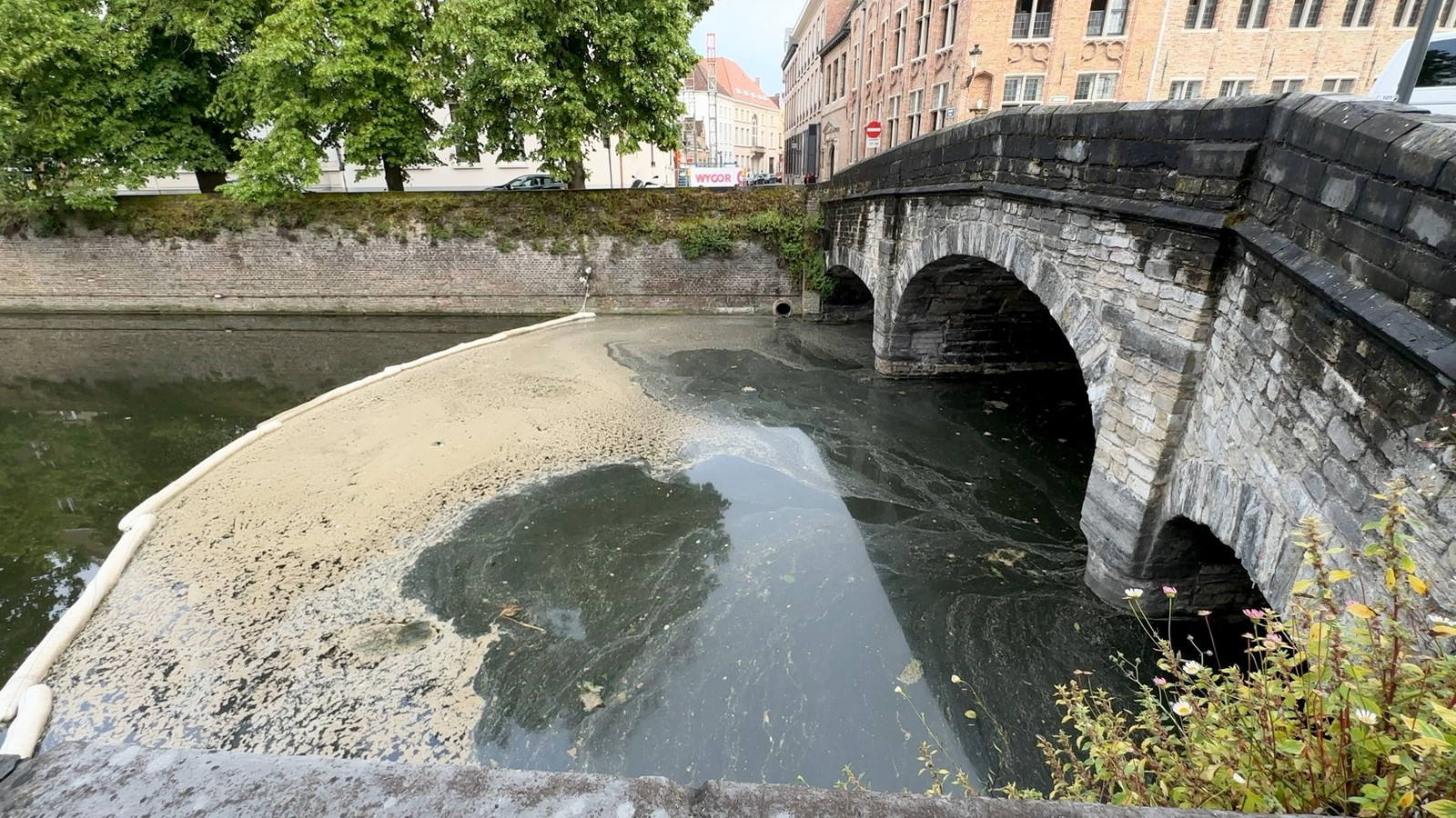 Opnieuw vervuiling vastgesteld op Brugse reien: reeds aangelegde dam ...