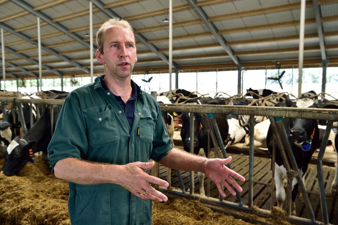 Boeren kunnen mest niet kwijt door strenge regels: ‘Beleid uiteindelijk juist slechter voor ...