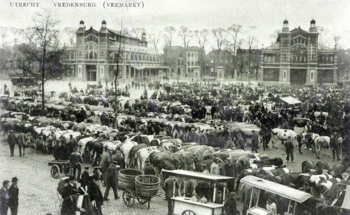 Markt op het Vredenburg? Tot honderd jaar geleden stond het plein vol ...