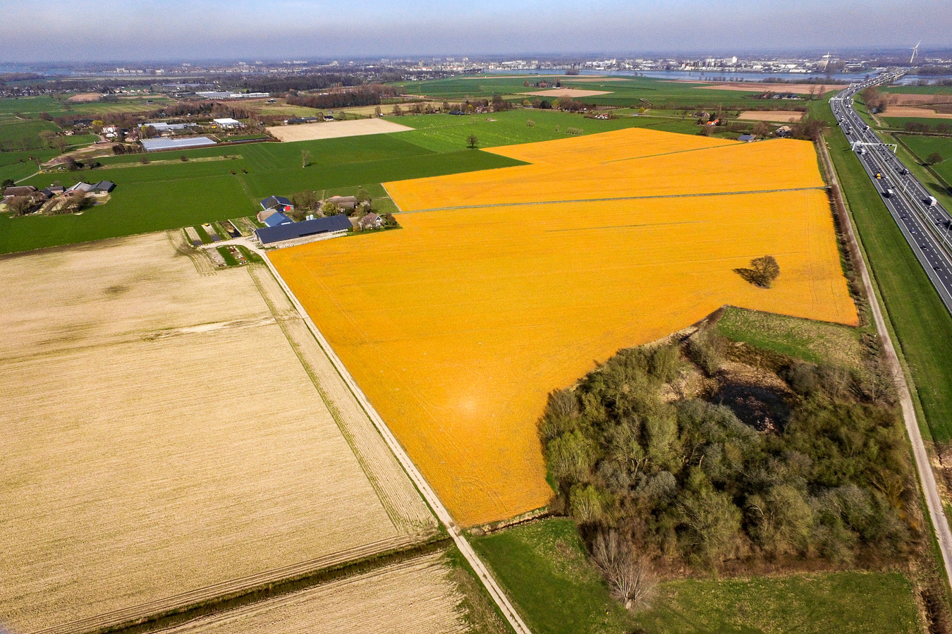 Parkinson Vereniging wil duidelijkheid over onderzoek naar glyfosaat: ‘Beoordeling gebaseerd op ...