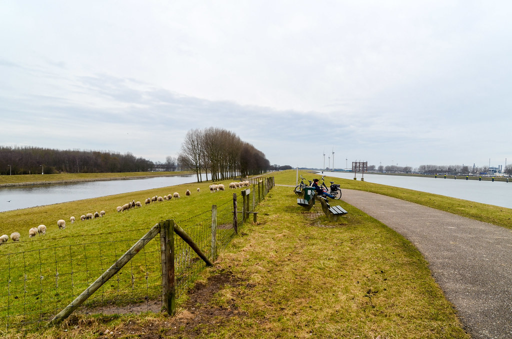 De meeste dijken zijn in orde, behalve in Ridderkerk en Spijkenisse ...
