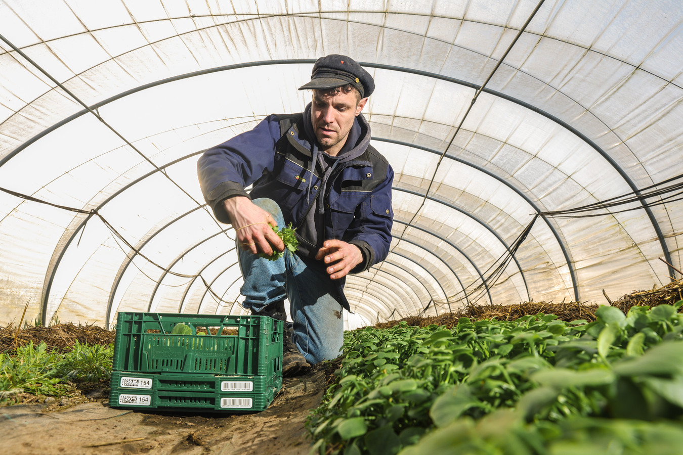 Daarom is bioboer Tijs Boelens (38) zo kwaad: “Na afbetaling van mijn ...