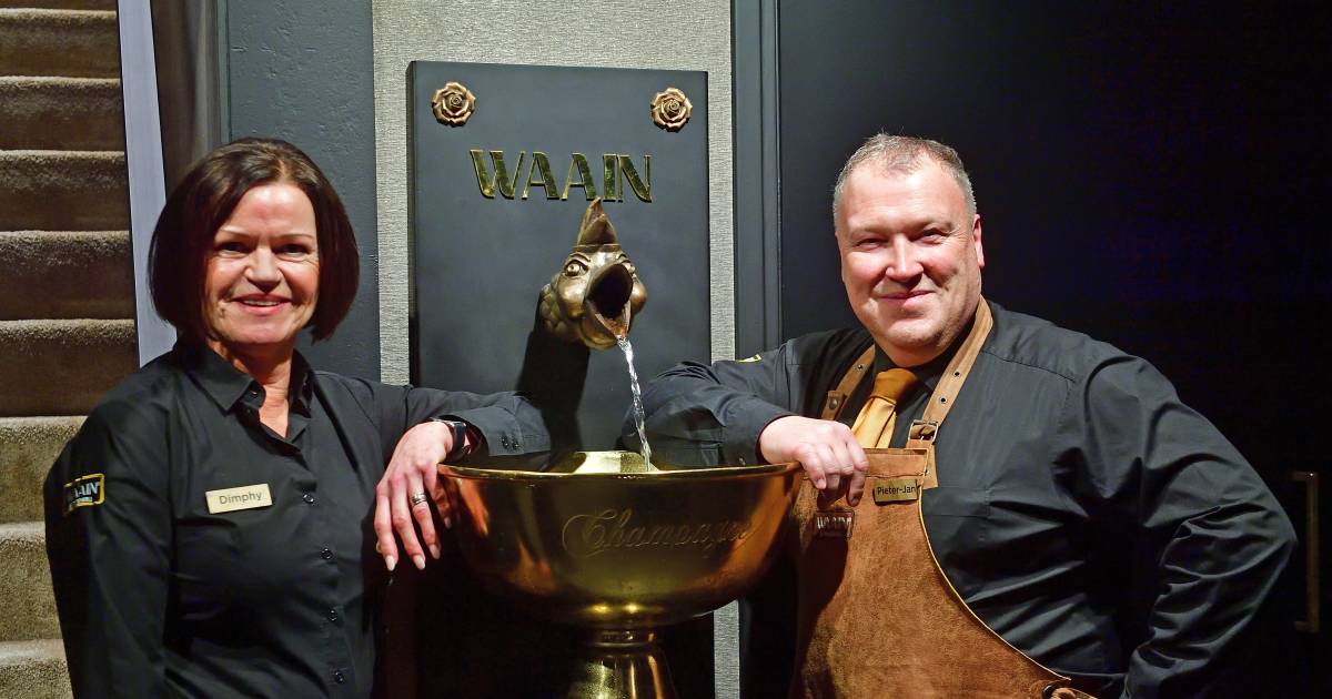 Pieter-Jan van Gurp van Waain: ‘Als ik dat plopje hoor, geeft me dat ...