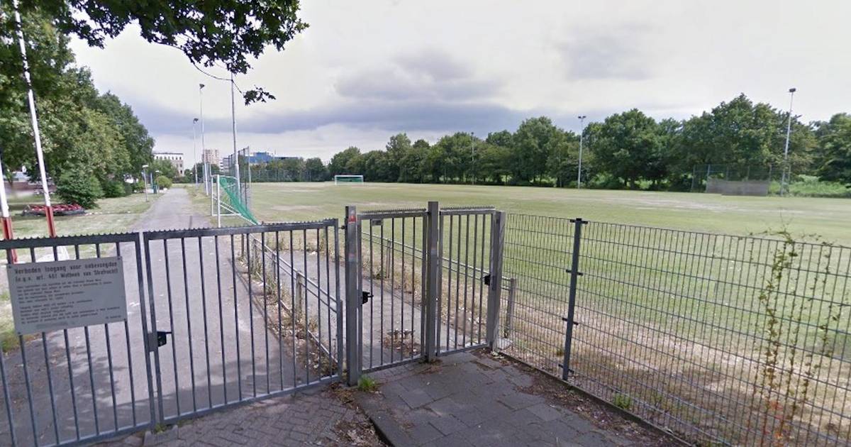 Voetbalclub SDW in Sloterdijk is eerste met kurkveld | Amsterdam | AD.nl