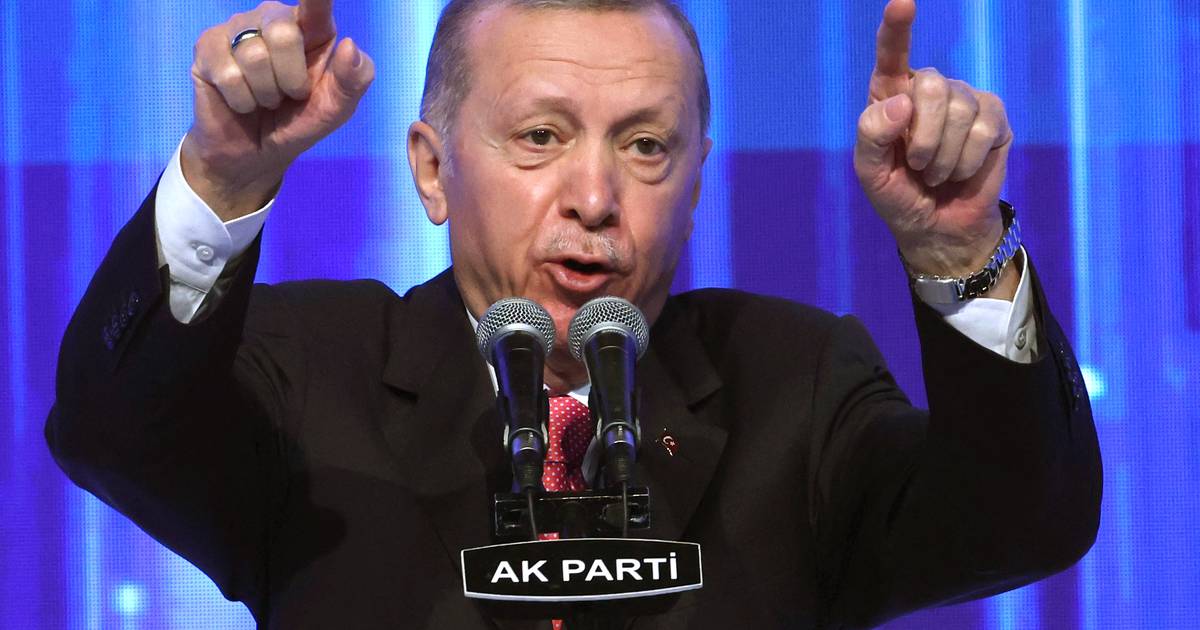 Dit merken wij in Nederland van de macht van de Turkse president ...