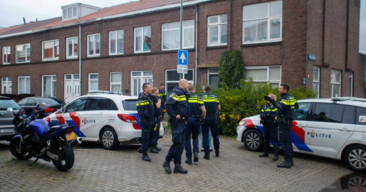 Steekpartij in Krispijn: één verdachte opgepakt | Dordrecht | AD.nl