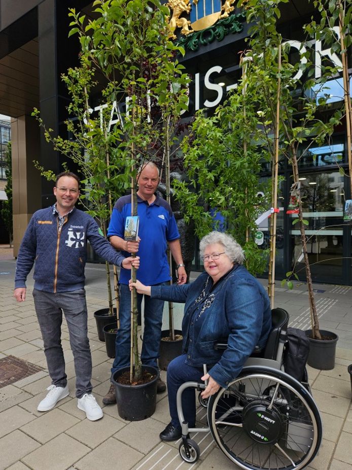 Zoetermeer verwachtte 600 bomen weg te geven, het werden er drie keer ...