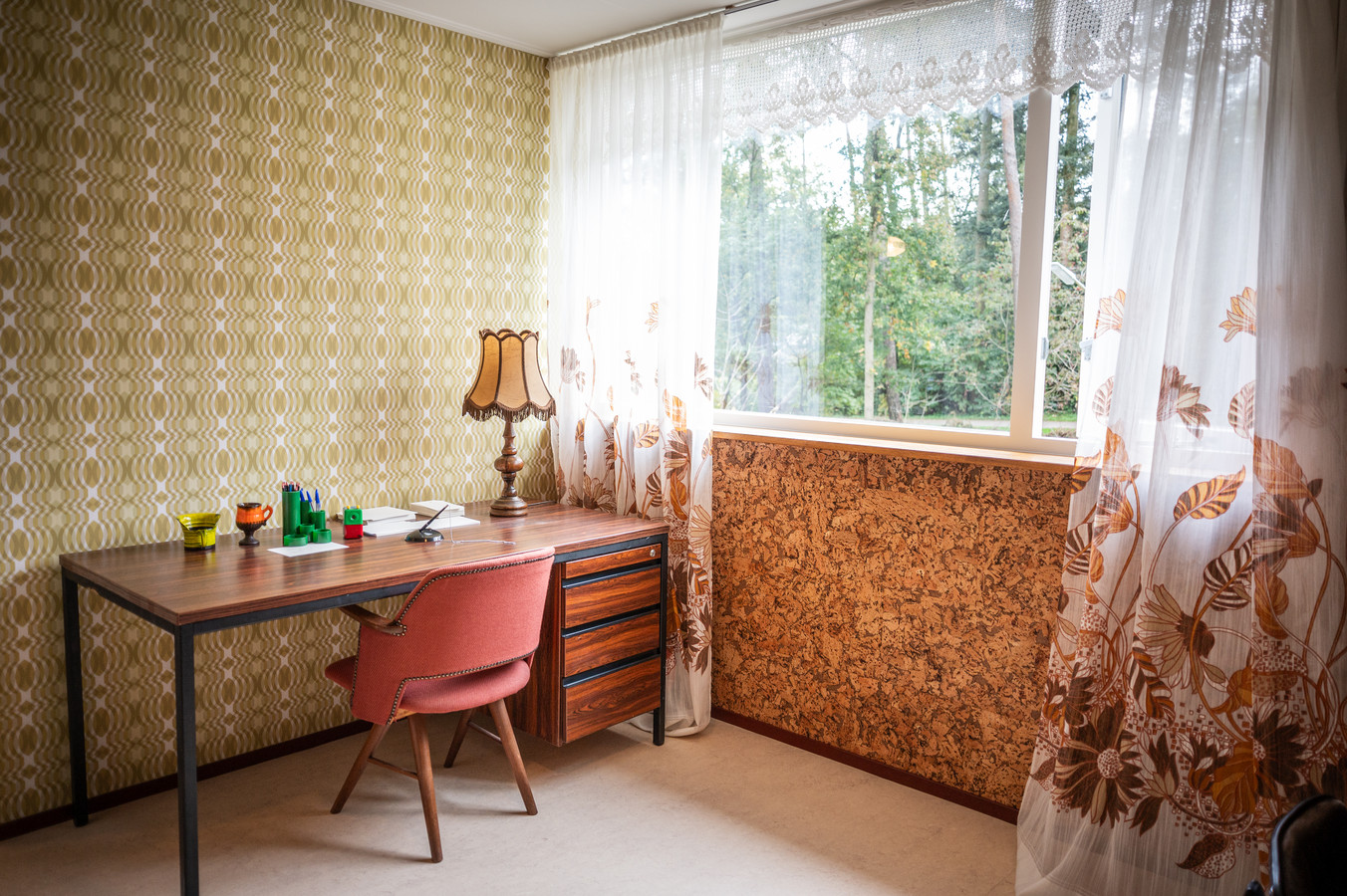 Openluchtmuseum brengt ode aan de doorzon: ‘Dit fenomeen is uniek voor ...