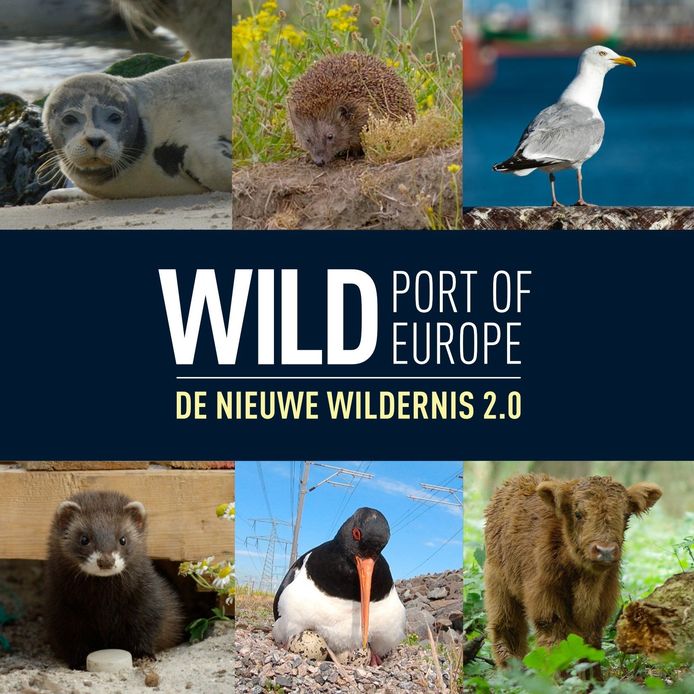 Natuurfilm over haven Moerdijk vanaf april volgend jaar in de bioscoop ...