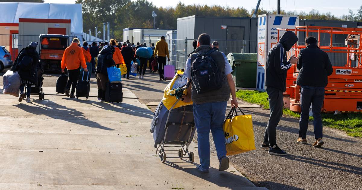 Lezers over roep om duizenden extra opvangplekken voor asielzoekers ...