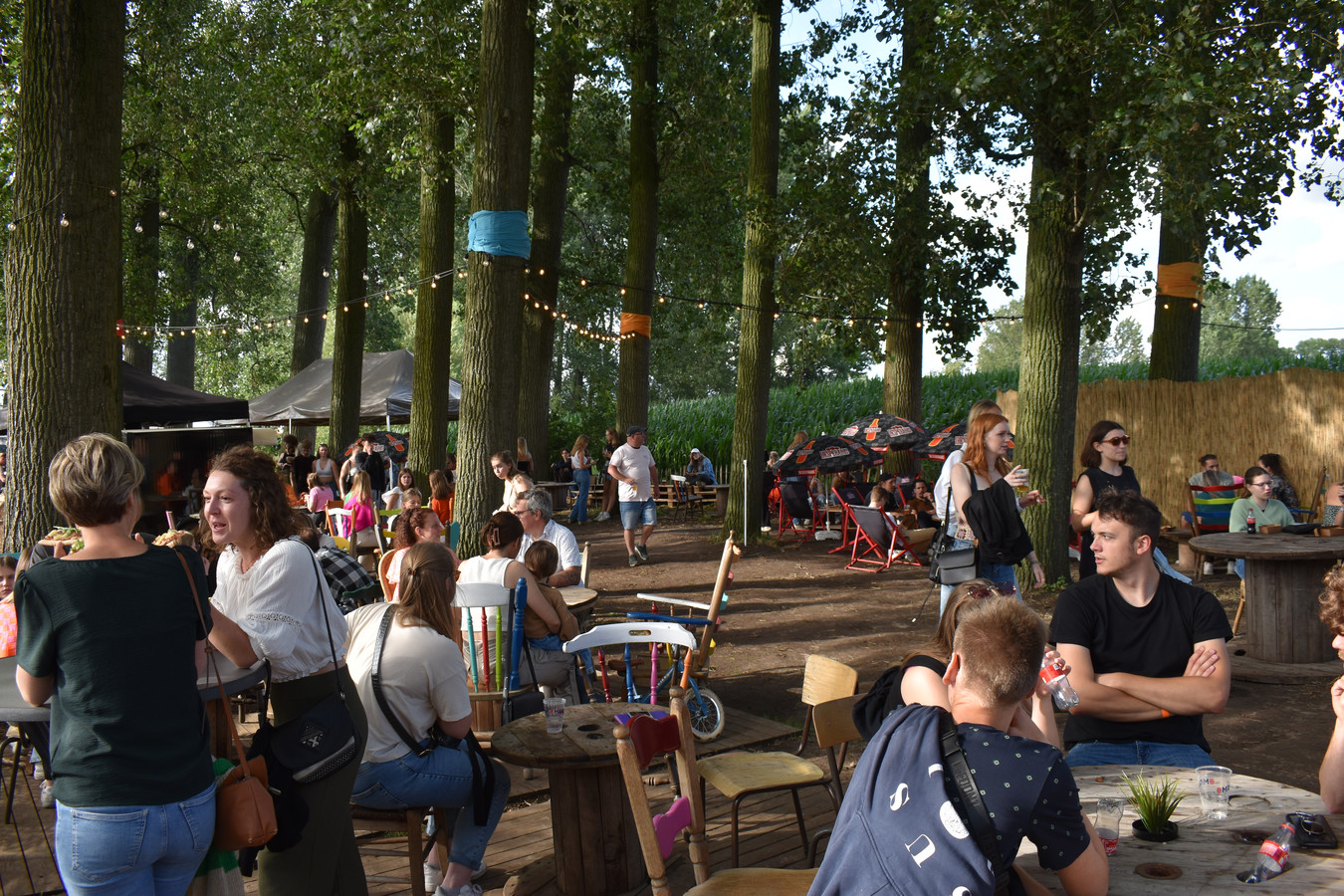 Hoogstraten danst zorgen van zich af op Chill Mill Festival: "Iedereen ...