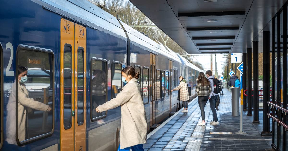 De pracht van een verlaten bushalte in het landschap | Arnhem | AD.nl
