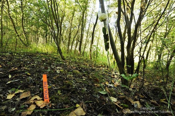 Hechtenis Thijs van Z. met 90 dagen verlengd | Enschede | tubantia.nl