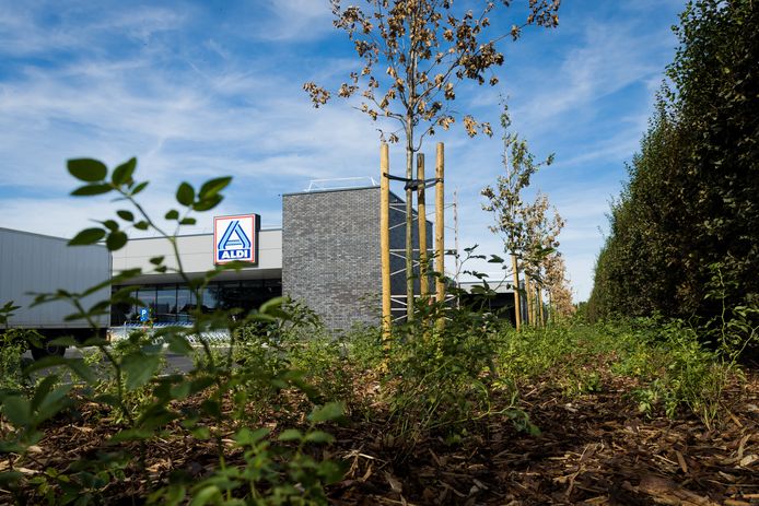 Aldi opent nieuwe winkel aan Bredabaan: groter en extra personeelsleden aangeworven | Wuustwezel ...