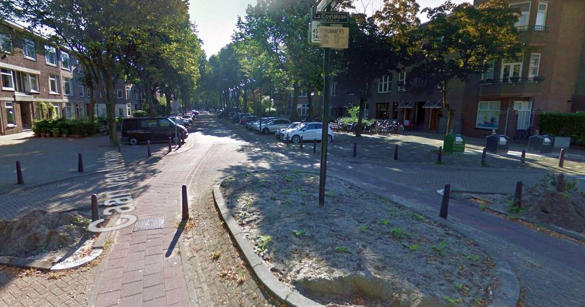 Rijswijk haalt gevaarlijke fietspaaltjes weg | Den Haag | AD.nl