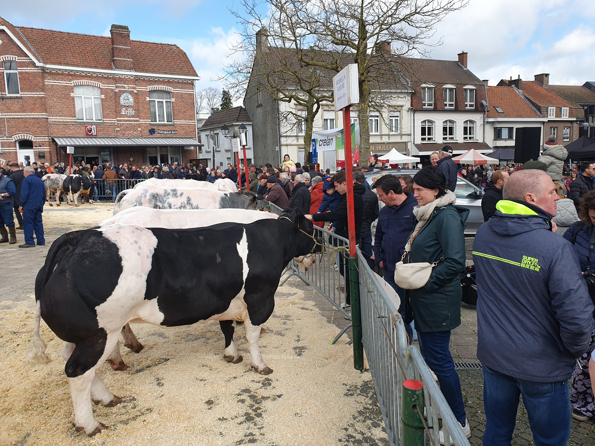 IN BEELD. Vette Veemarkt lokt massa volk: “Blijft een hoogdag voor ...