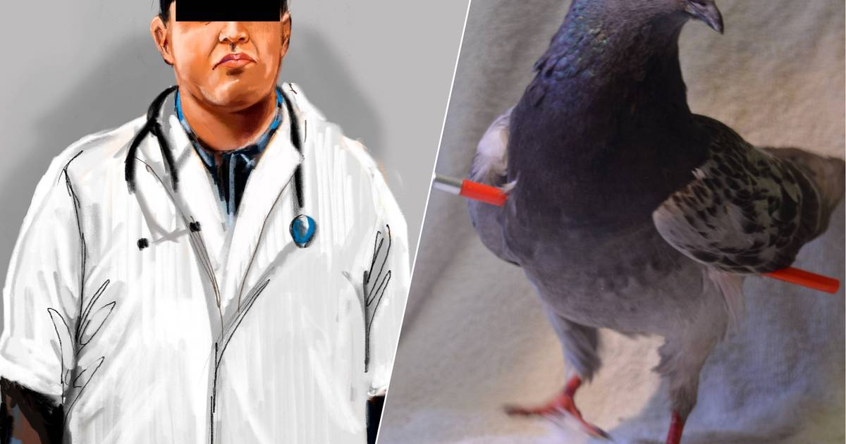 Met kruisboog jaagde hij op duiven en zijn huis stonk: de jaren van de ...