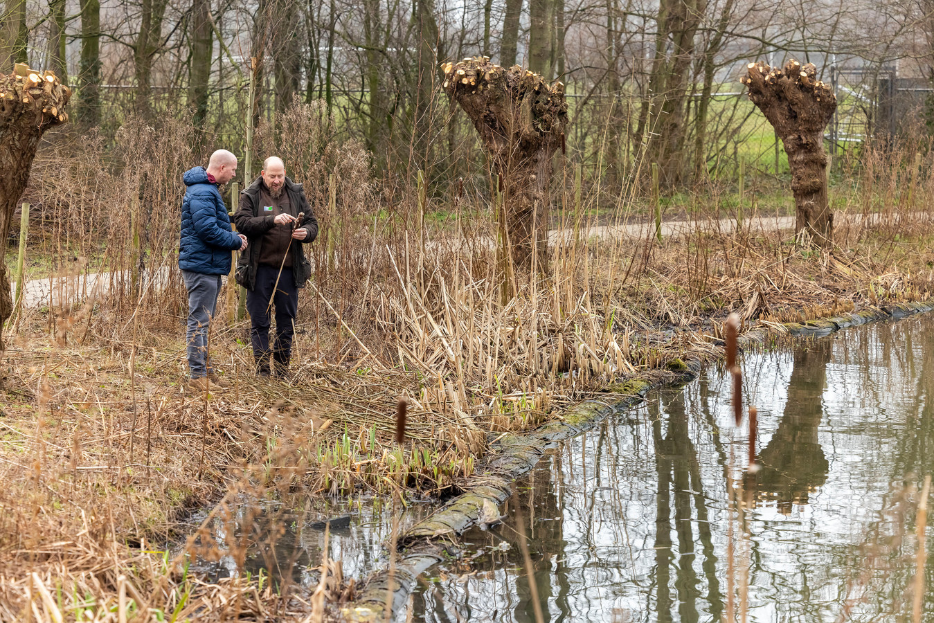 Westland richt pijlen op natuurvriendelijke oevers: ‘Heel goed voor de ...