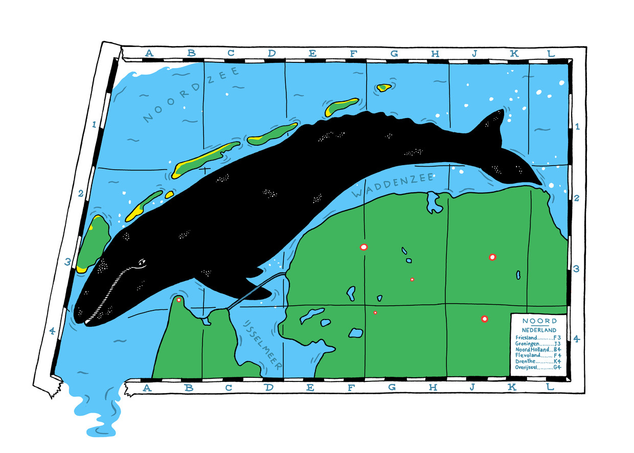 Natuurhistoricus Marc Argeloo: ‘Grijze walvis terug in de Waddenzee ...
