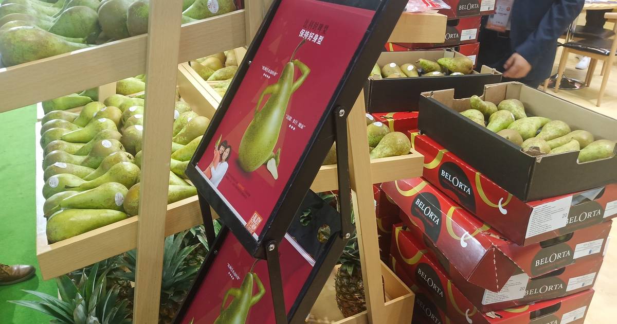 Groente- en fruitveiling BelOrta wil peren populair maken bij Chinezen ...