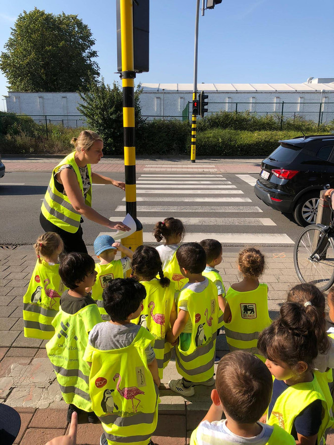 De Puzzel beloond met zilveren Verkeer op School-medaille | Foto | hln.be