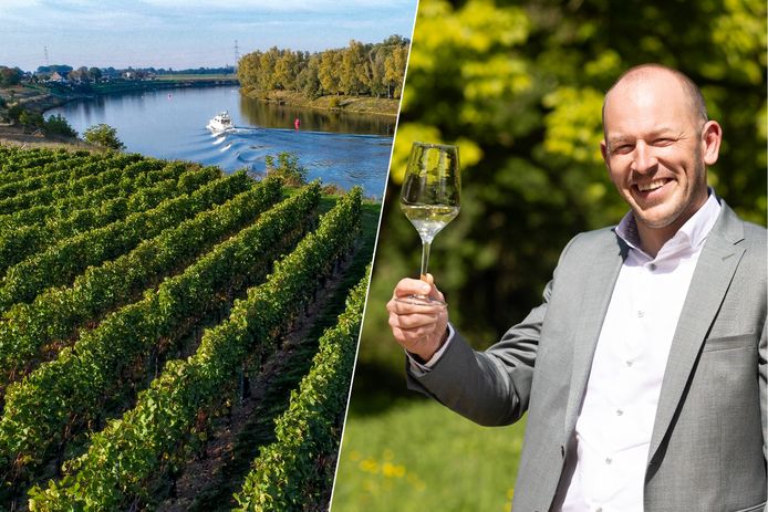 Wijnroute van 200 kilometer door Limburg en Vlaams-Brabant: “Vlaanderen heeft méér dan goede ...
