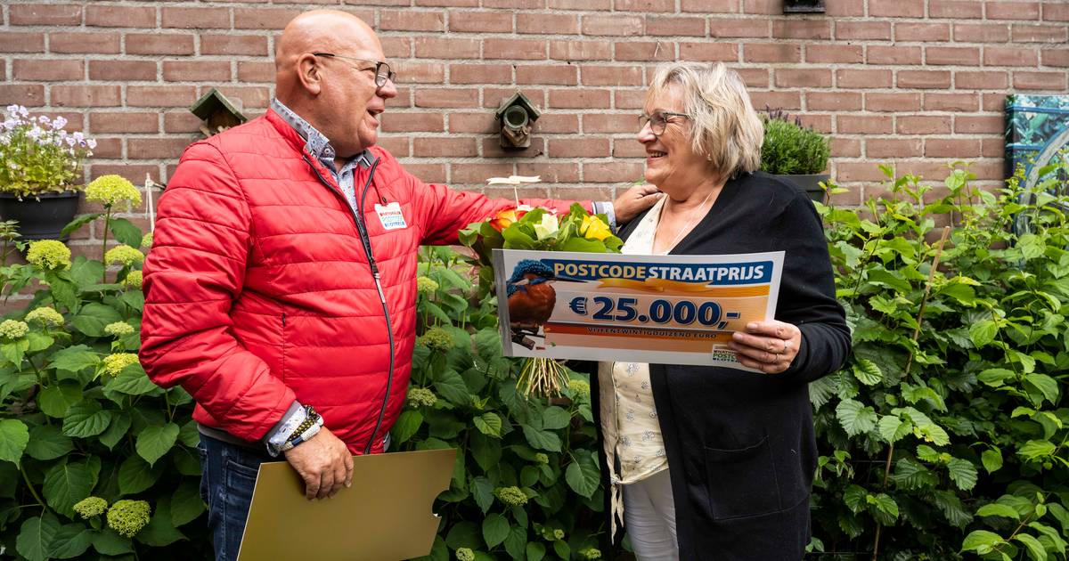 Miljoenenprijs Postcode Loterij valt in Uitgeest: inwoners verdelen 4 ...