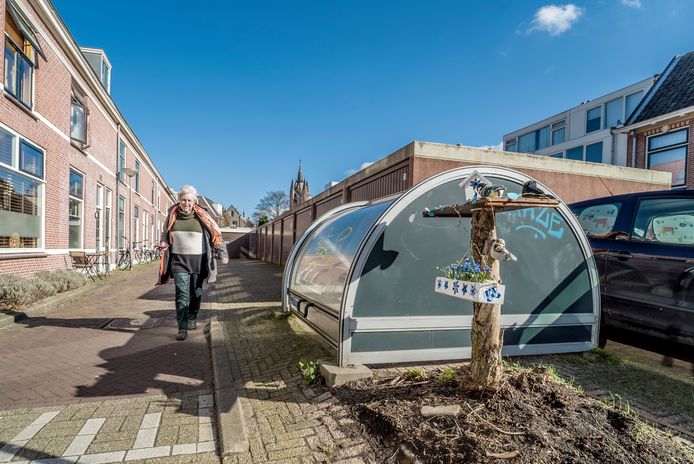 Dit is de meest versteende wijk van Delft: ‘Heel moeilijk om te ...