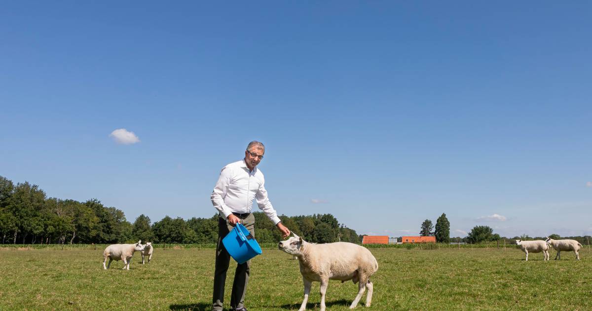 Na 12 jaar is Johan de Beer geen wethouder meer: ‘Jammer, ik had me ...