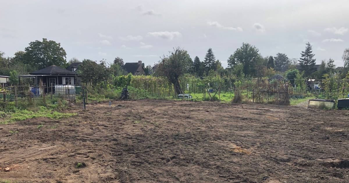 Uit de as herrezen, weer groene toekomst voor verwoeste volkstuintjes ...