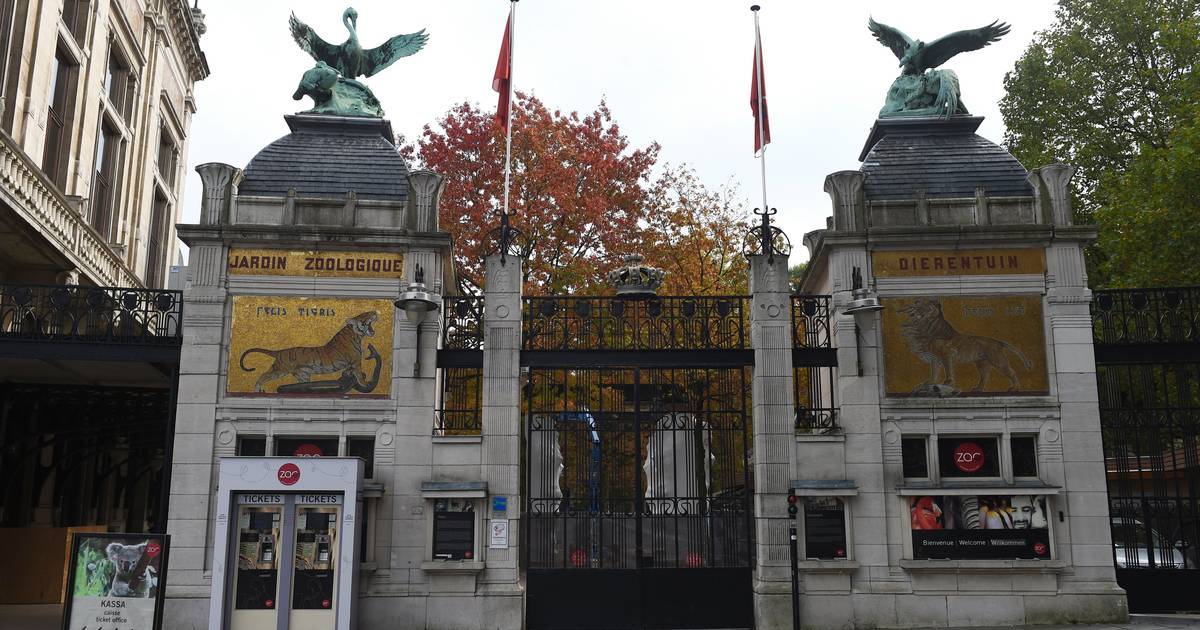 Le zoo d'Anvers prêt à accueillir des milliers d'enfants pour la ...