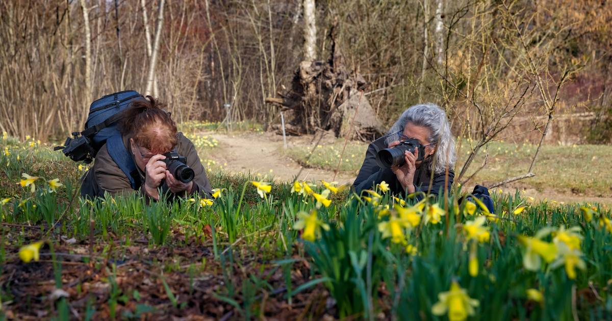 Grote drukte is zeldzaam bij heropende Heemtuin Rucphen | Roosendaal ...