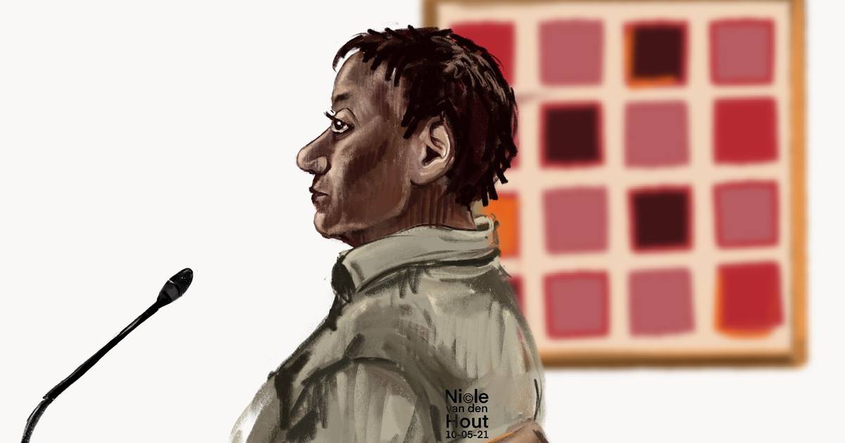 Nancy R. kreeg rode waas voor ogen en stak elf keer in op bejaarde ...