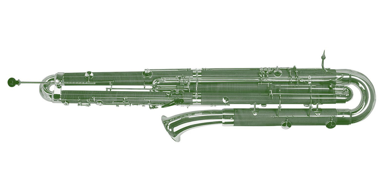 Componist Martijn Padding ontdekt schoonheid in de muurbloempjes onder ...