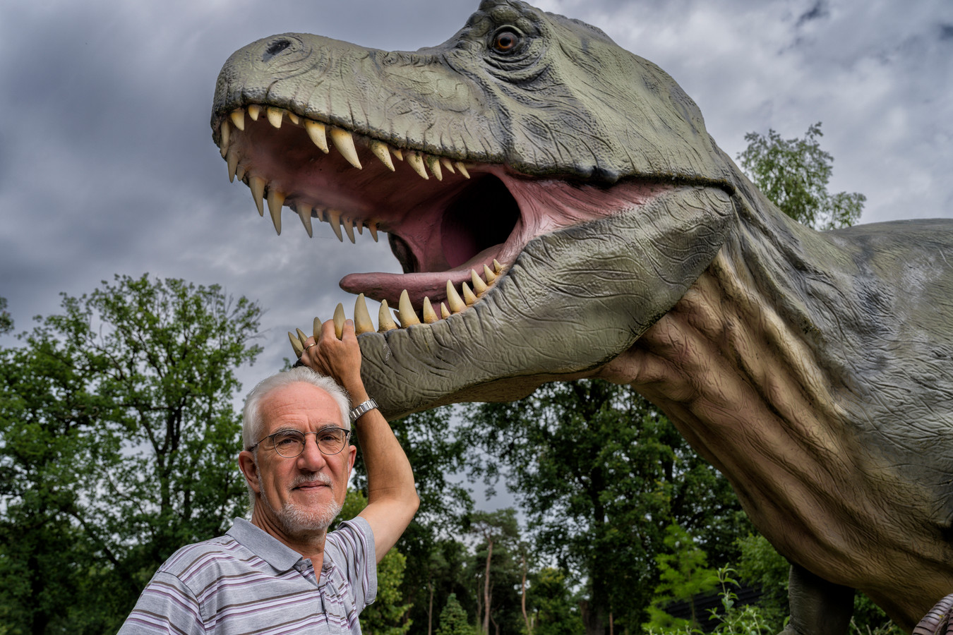 Krabbelen aan de schedel van een zeekrokodil: ‘Voor een plaats in het ...