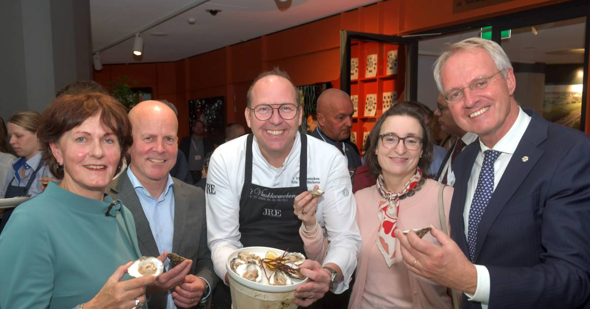 Zeeuwse dag in Den Haag: bestuurlijk bijpraten met borrelhapjes van ...