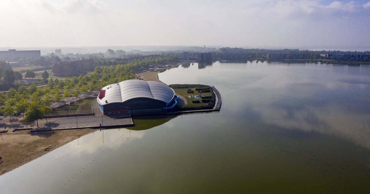 De Schelp ging veel te snel open. En moest daardoor weer dicht | Bergen ...
