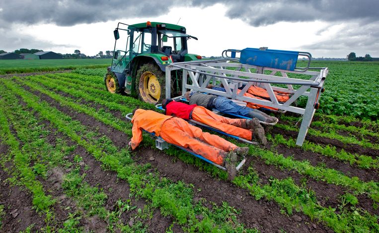 Biologische boer worden in Nederland? Het wordt steeds minder populair