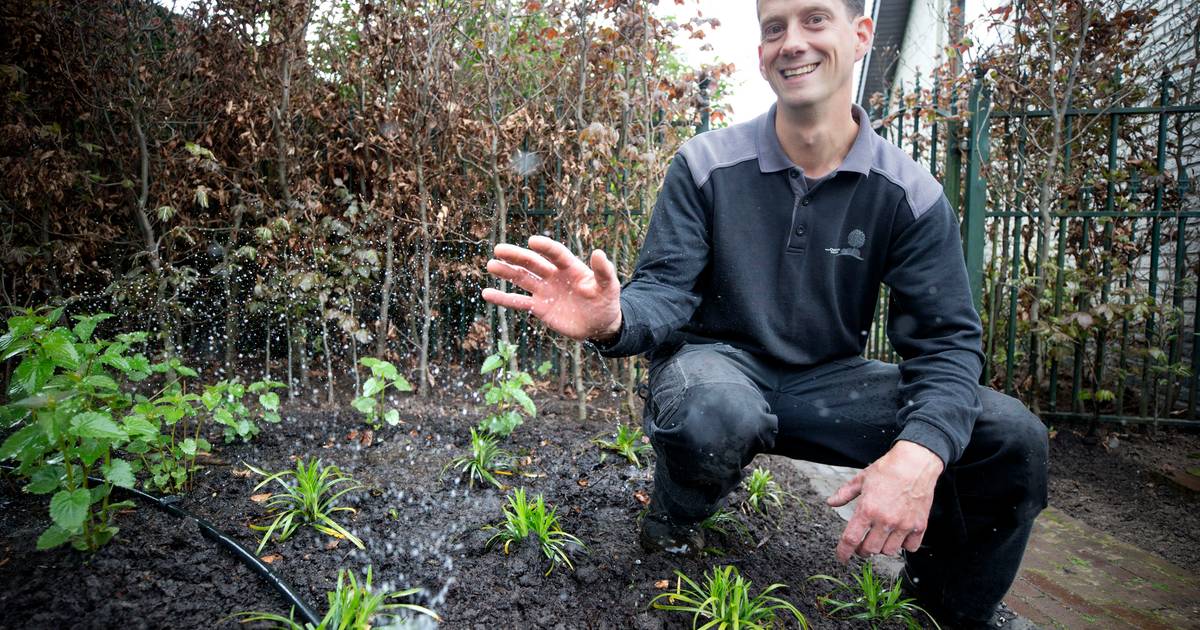 Sproei-installaties vliegen de winkel uit na gortdroge zomer ...