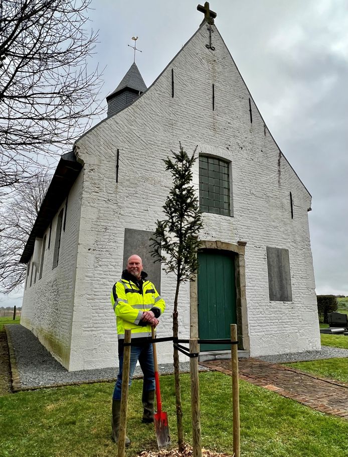 Symbolische boom op Zwalmse begraafplaatsen | Zwalm | hln.be