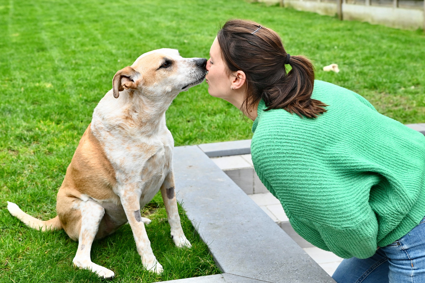 Mélody (33) stelt bucketlist op voor terminaal zieke hond Jenny (9 ... Mélody (33) stelt bucketlist op voor terminaal zieke hond Jenny (9 ...