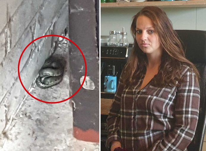 Amanda uit Zuidveen was in de slaapkamer bezig toen haar man ineens ...